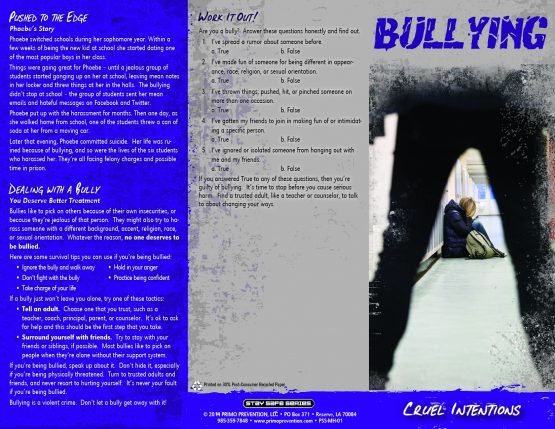 Bullying: Cruel Intentions Pamphlet - Primo Prevention