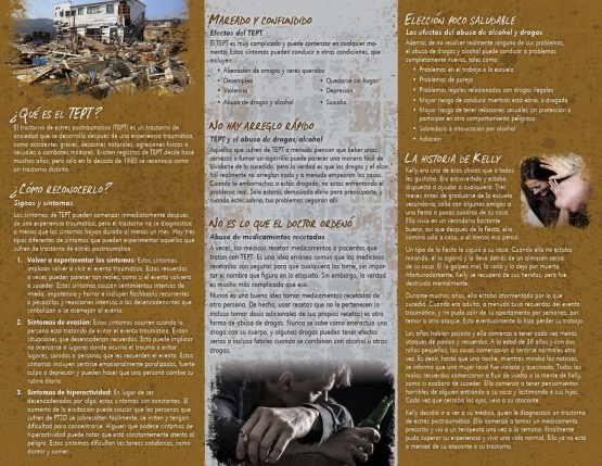 *SPANISH* PTSD (Post Traumatic Stress Disorder) Pamphlet - Primo Prevention
