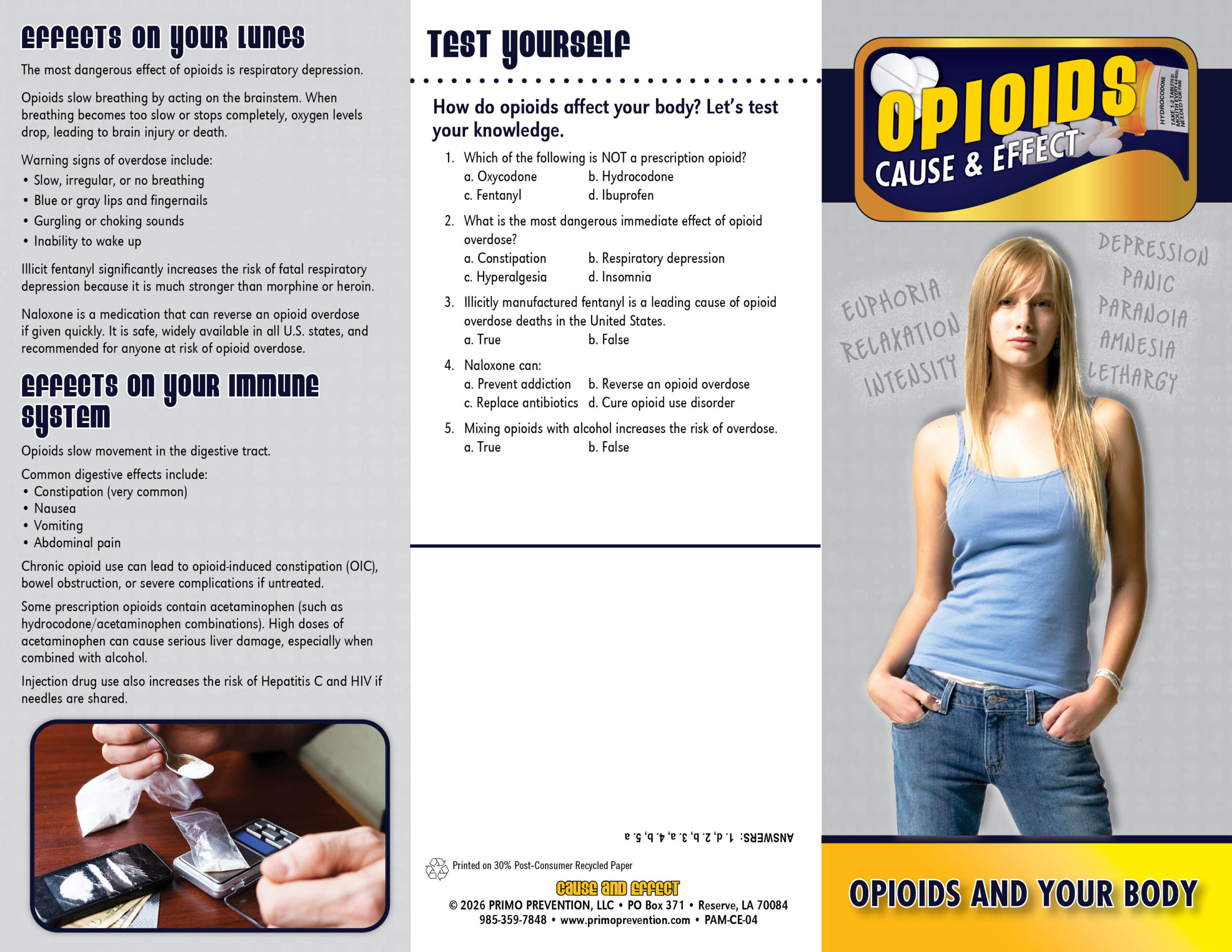 Cause & Effect: Opioids and Your Body Pamphlet - Primo Prevention