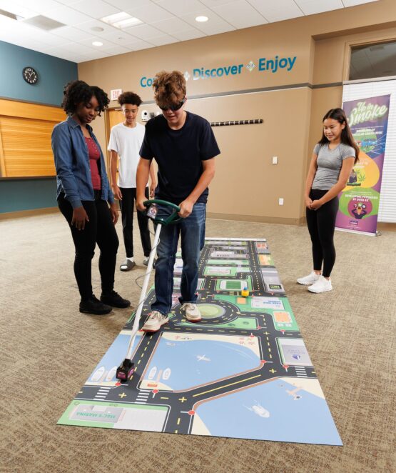 Drowsy & Distracted Driving Fatal Vision Campaign Large Kit - Primo ...