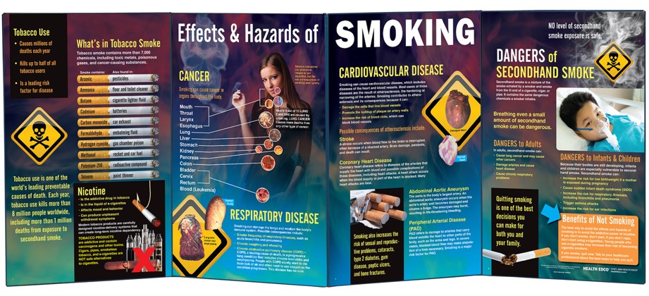 Effects & Hazards of Smoking Folding Display (4 Panel) - Primo Prevention